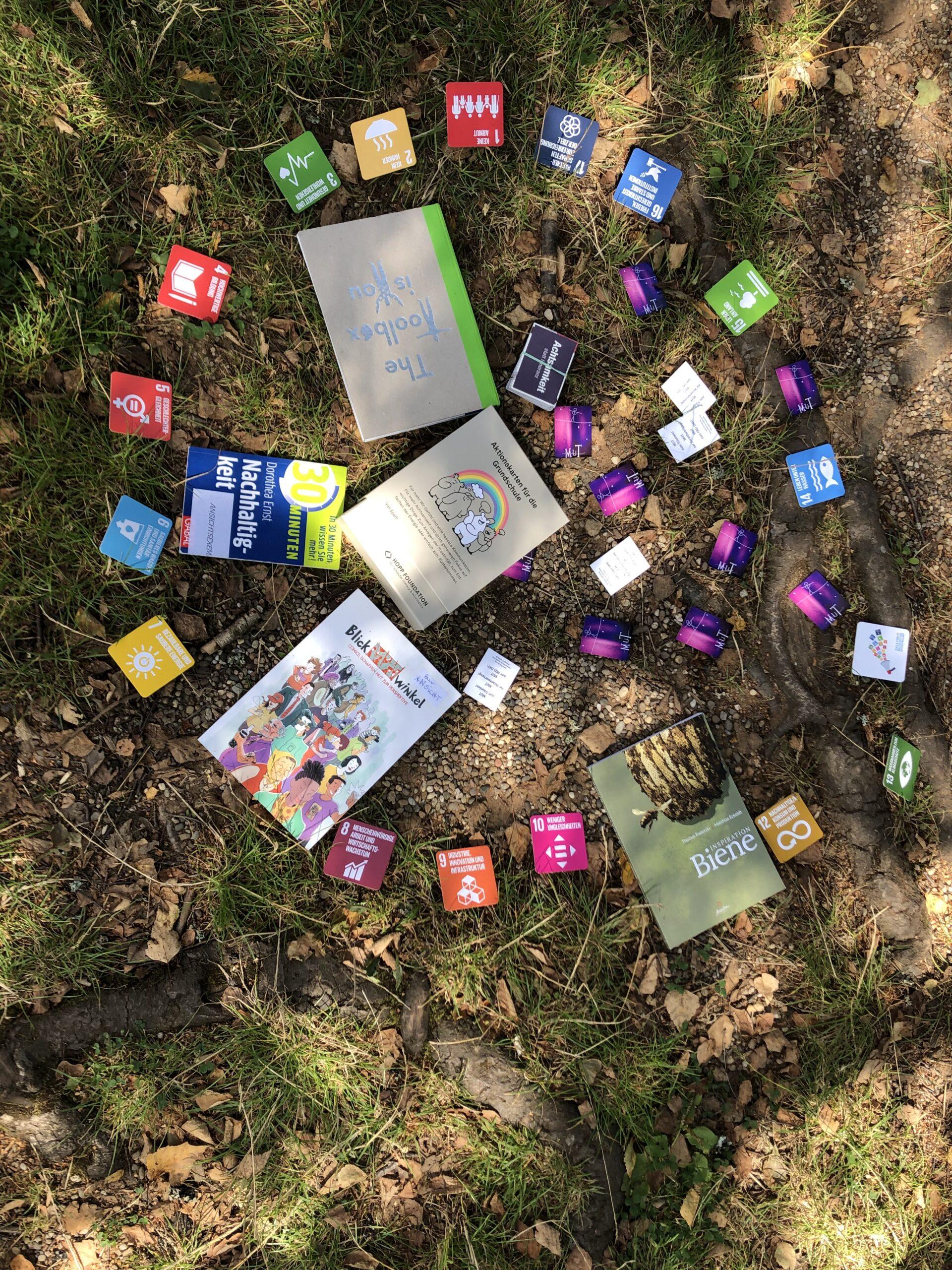 FREI DAY als Lernformat in der Sonderpädagogik - FREI DAY